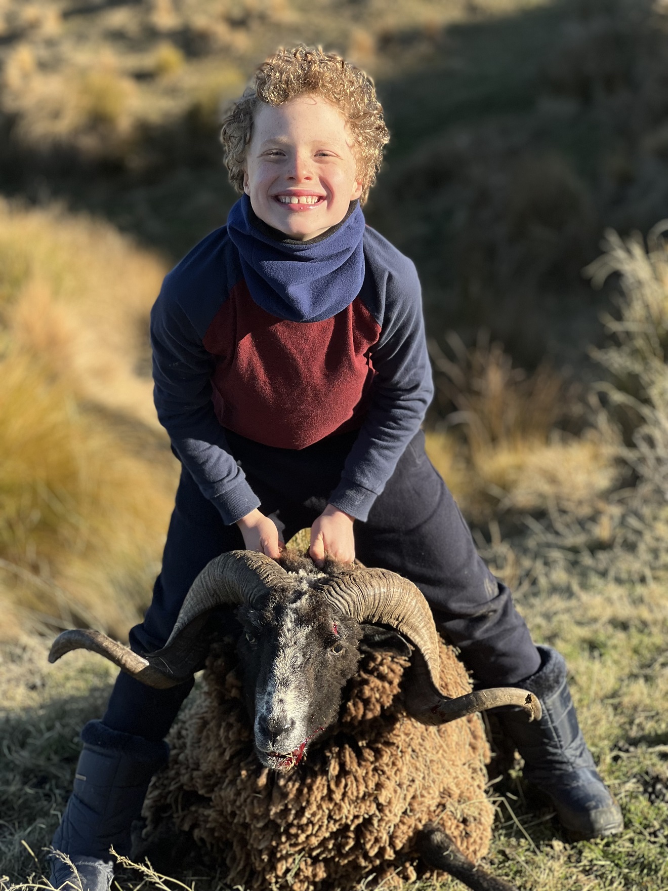 Arapawa Rams Hunting Photos 2023 - Leithen Valley Hunts